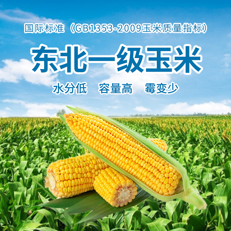 东北一等玉米_饲料_饲料原料_玉米原料_农信互联长丰运营中心_农信商城